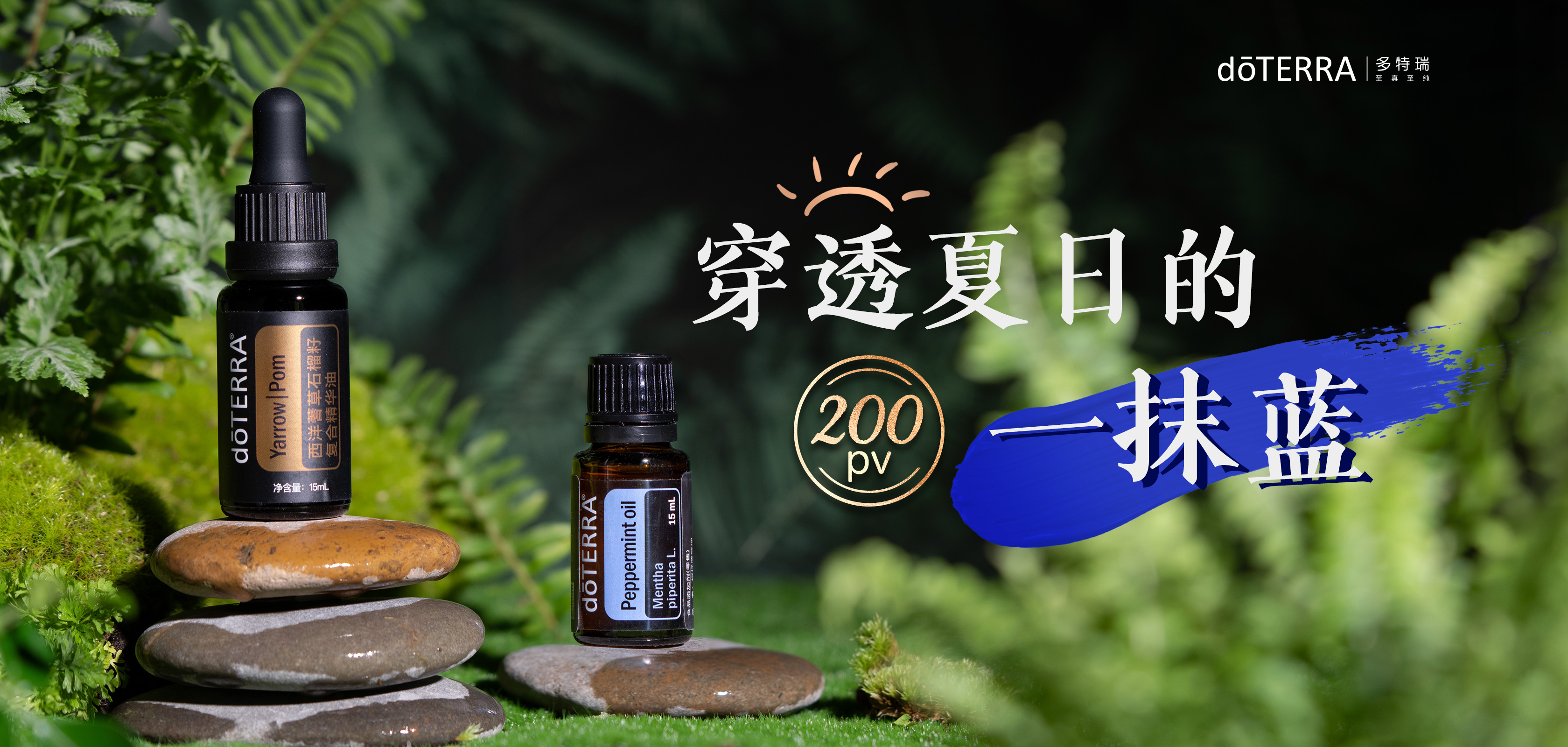 多特瑞doterra_多特瑞中国官网